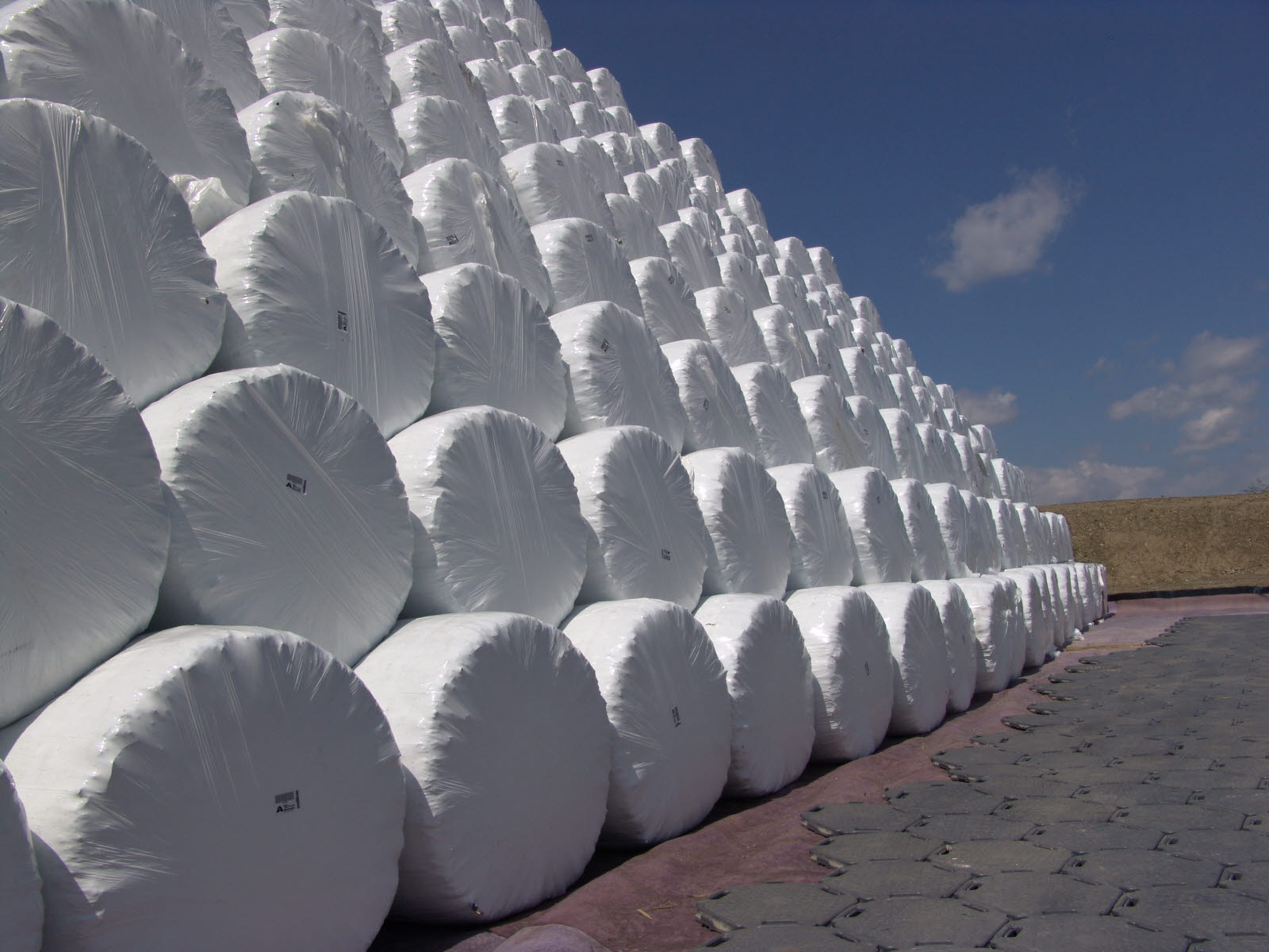 WasteWrap film Loop30 | Products | Trioworld